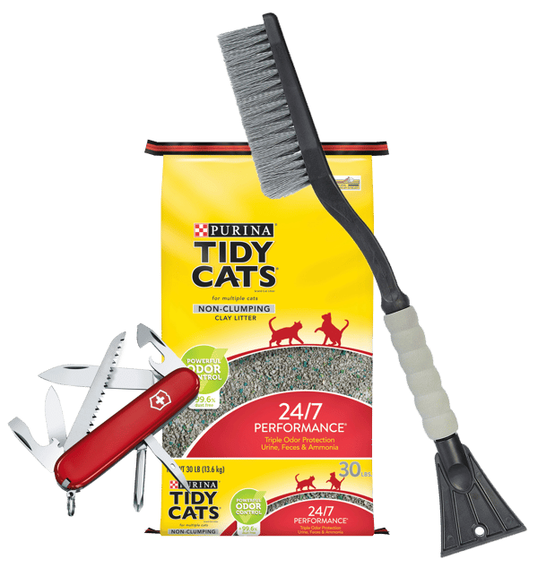 A Complete Winter Survival Kit for Your Car